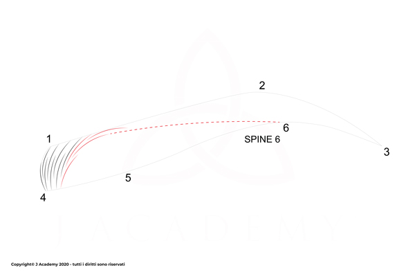Microblading 2.0: [NEW VIDEO] LIVELLO 3 - TRANSIZIONE E SPINE / SPINE ...