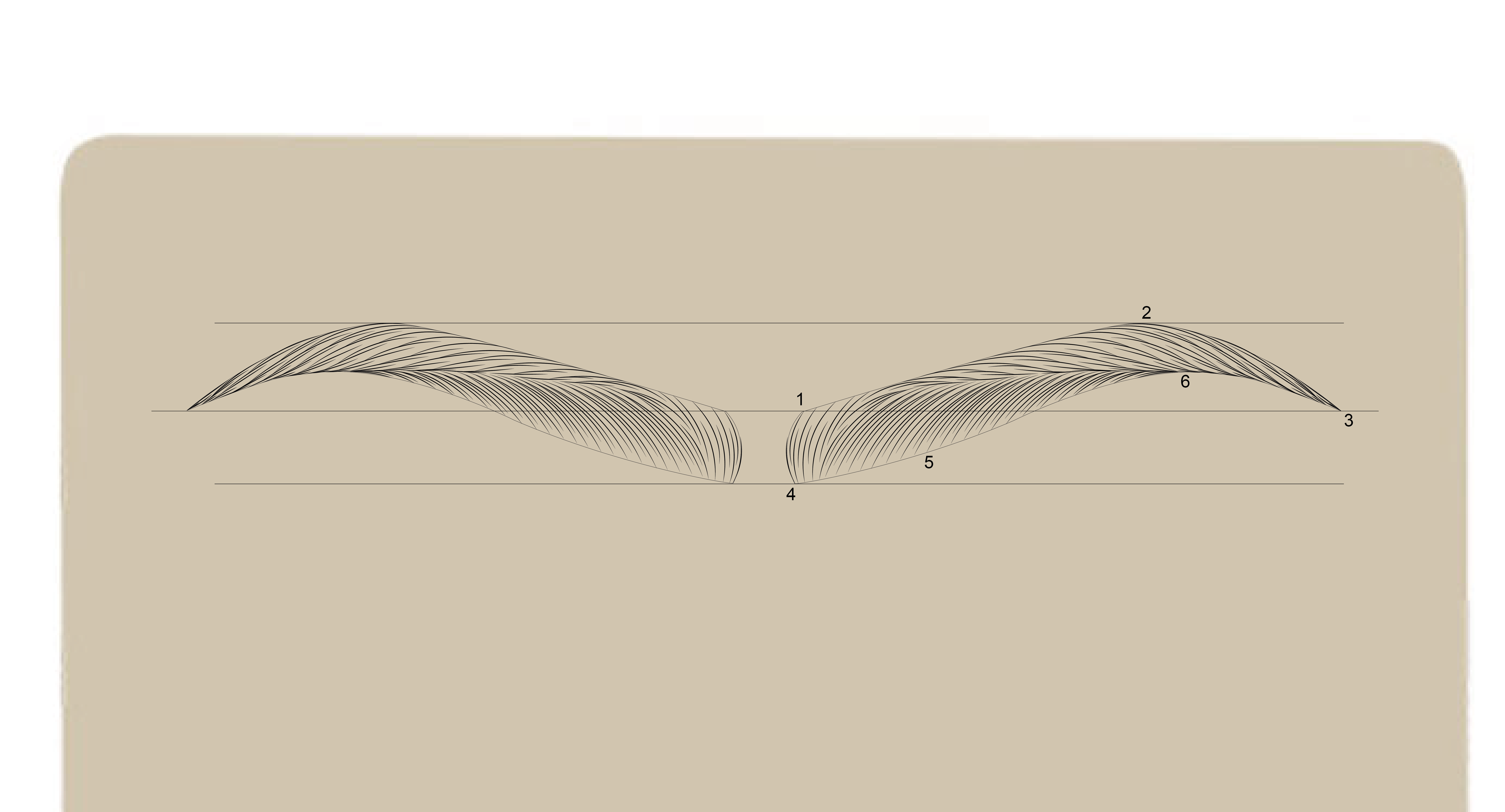 Microblading 2.0: [NEW VIDEO] LIVELLO 6 - PELI CENTRALI / CENTRAL ...