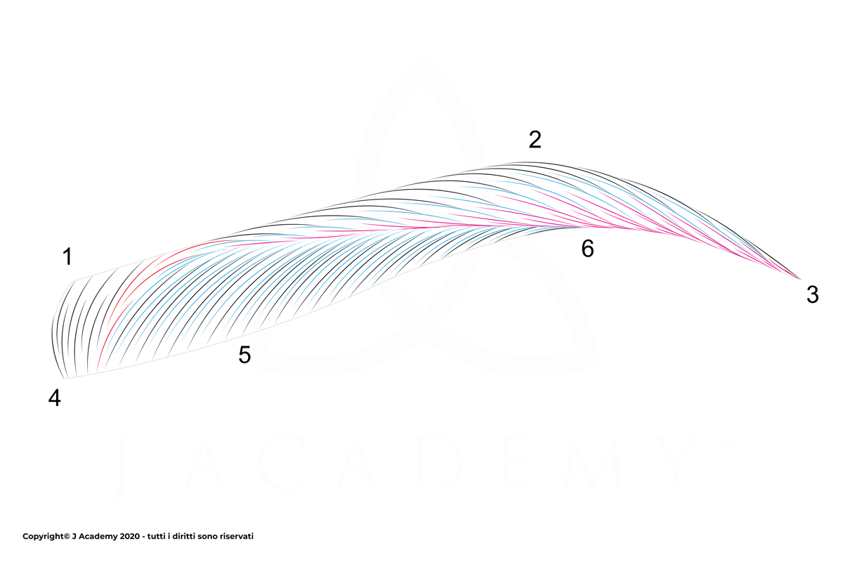 Microblading 2.0: [NEW VIDEO] LIVELLO 6 - PELI CENTRALI / CENTRAL ...